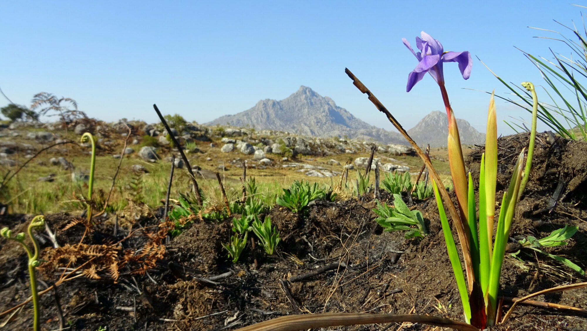 Malawi – Ruben Foquet